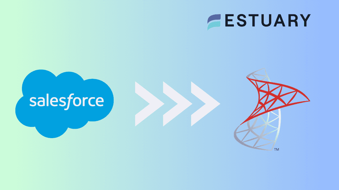 Connect Salesforce to SQL Server: Best 2 Methods Explained | Estuary