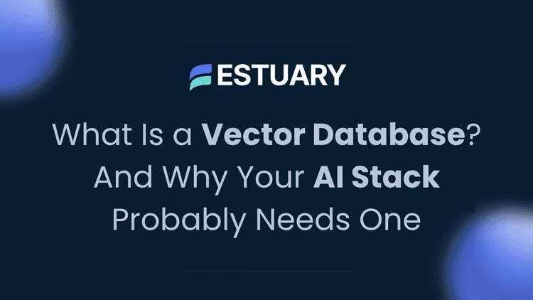 What is Pinecone AI? A Guide to the Craze Behind Vector Databases | Estuary