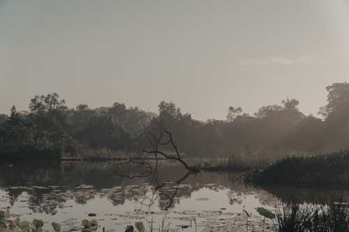 How to prevent your data warehouse from becoming a data swamp | Estuary