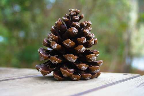What is Pinecone AI? A Guide to the Craze Behind Vector Databases | Estuary