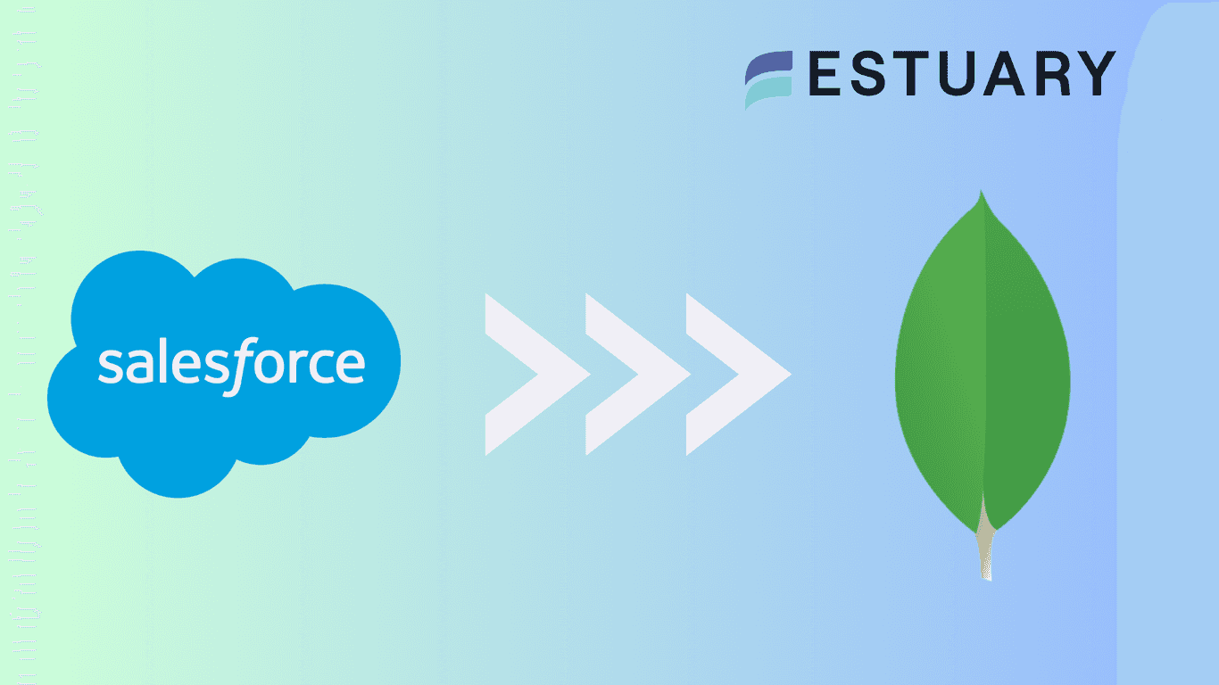 How to Connect Salesforce to MongoDB: The Best Ways to Sync Your CRM Data | Estuary